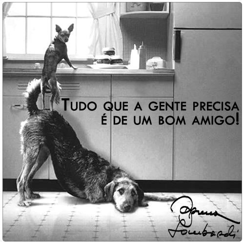 Um bom amigo é tudo ... - Club33